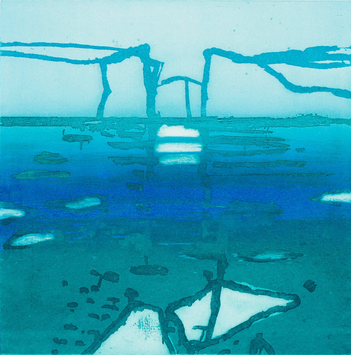 Barbara Rae: Sea Ice Illulissat – Peacock - a workshop for art